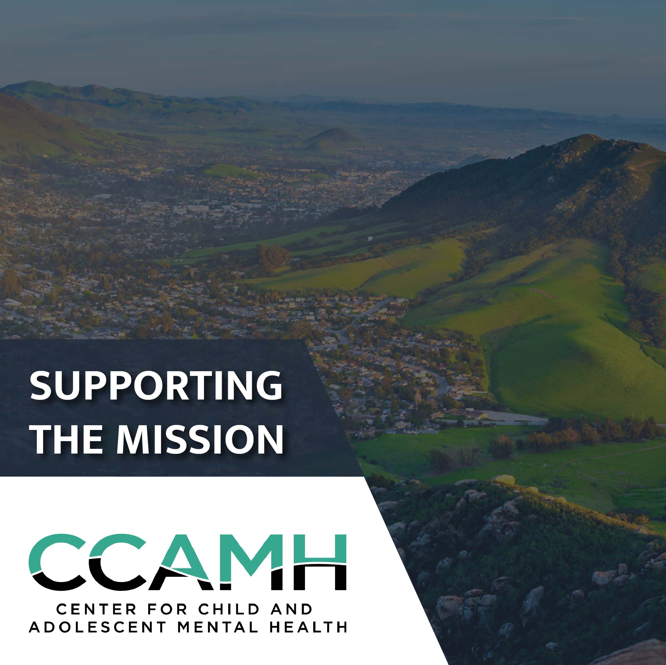 Supporting the Center for Child and Adolescent Mental Health (CCAMH)